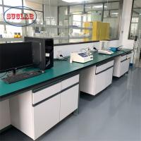 China High Durability Chemistry Lab Workbench Laboratory Workstation For Efficient Testing for sale