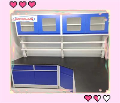 China Cold Rolled Steel Chemistry Lab Bench For Goverment Frame With Adjustable Glass Shelf for sale