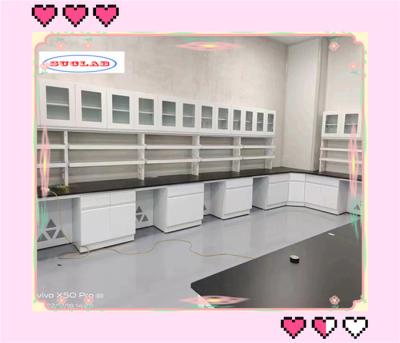 China Cold Rolled Steel Chemistry Lab Bench For Goverment Frame With Adjustable Glass Shelf for sale