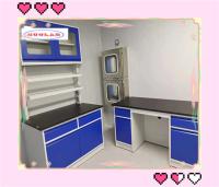 China Solid Chemistry Lab Bench With Adjustable Glass Shelf Server Type 12mm Thick Glass Shelf for sale