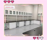 China Solid Chemistry Lab Bench With Adjustable Glass Shelf Server Type 12mm Thick Glass Shelf for sale