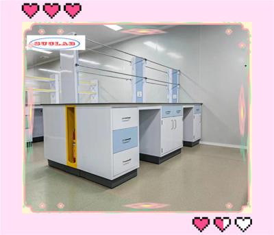 China Foldable Lab Caseworks Durable Reagent Racks With Adjustable Glass Shelf In 40*60*100mm Frame for sale