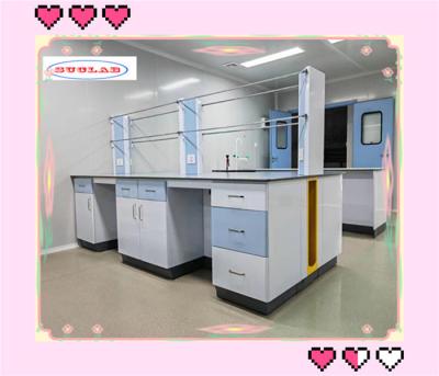 China Foldable Lab Caseworks Durable Reagent Racks With Adjustable Glass Shelf In 40*60*100mm Frame for sale