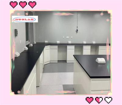 China Customizable Chemistry Lab Bench With Sinks Insertion Aluminum Alloy Handle For Hospital for sale