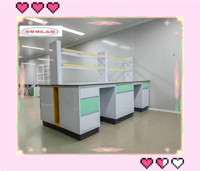 China Customizable Chemistry Lab Bench With Sinks Insertion Aluminum Alloy Handle For Hospital for sale