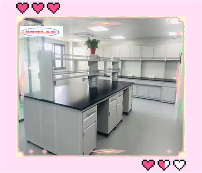 China Free Standing Lab Benches Durable Reagent Racks With Adjustable Glass Shelf For Scientific Research for sale