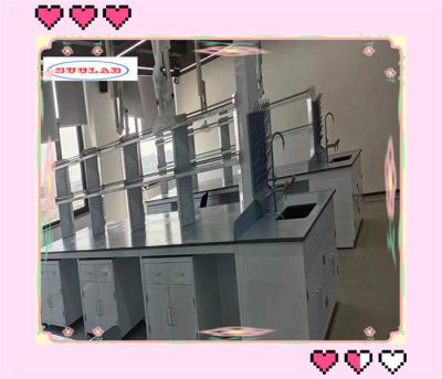 中国 全鋼製の化学研究所ベンチ 完全鋼製の構造とセラミックシンク 販売のため