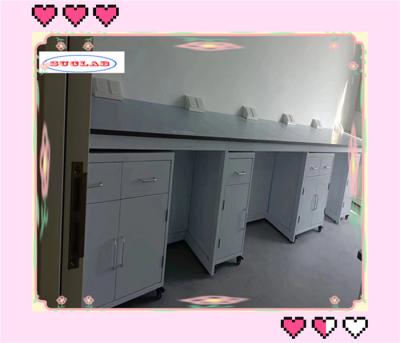 中国 効率的な作業場ソリューション あなたの仕様に合わせて作られたラボワークベンチ 販売のため