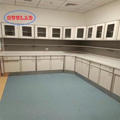 China Adjustable Glass Shelf Lab Workbenches with Drawers - Ideal Reagent Rack Solution for sale