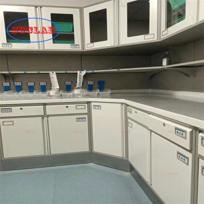 China DTC 175° Buffer Hinges Lab Caseworks with Storage Stainless Steel Hinges for sale