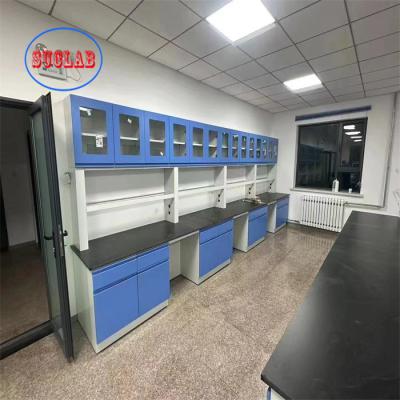 중국 쉽게 설치 화학 실험실 가구 공장 향상 된 실험실 경험 판매용