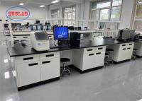 China Customized Epoxy Resin Chemistry Lab Bench Laboratory Workbench Vietnam With Multi Functional Socket for sale