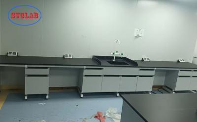 China Bespoke Laboratory Furniture Manufacturer with Modular Construction Acceptable OEM/ODM for sale
