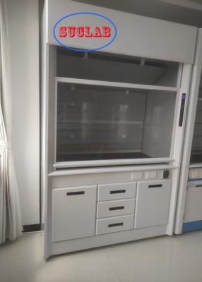 China 100m3/h Airflow Lab Fume Hood Supply Manual/Automatic Control System for Laboratory Safety for sale
