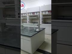 Capa antiferrugem da ventilação do laboratório, emanações duráveis Hood And Biosafety Cabinet