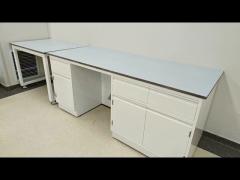 Customizable Chem Fumiture Lab Personalized for Your Lab Performance