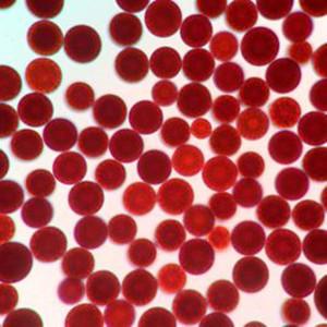 China Pharmaceutical API Intermediate CAS 472-61-7 Astaxanthin C40H52O4 for sale