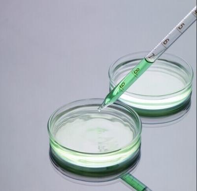 China Phloroglucinol Dihydrate Pharmaceutical API EP 99.0% ~ 101.0% Cas 6099-90-7 for sale