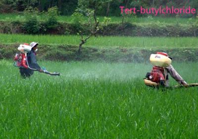 China 99% Min Tert-butylchloride API Intermediate For Organic Synthesis Cas 507-20-0 for sale