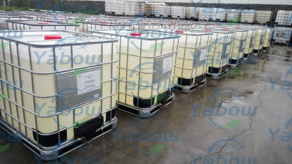 Quality Bio Based Plasticizer Biodegradable Plasticizer Non Toxic REACH Certificated for sale