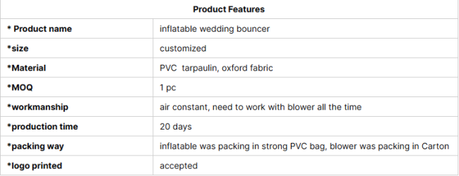 Inflatable bouncer combo showing full structure with slide and basketball hoop