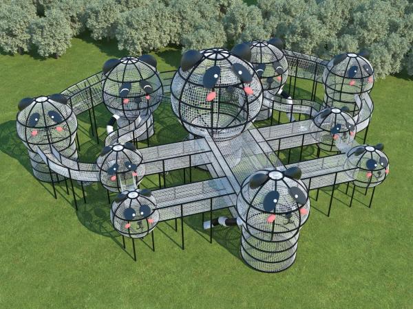 Quality Kids Climbing Adventure Park Outdoor 5 Passengers Fun Commercial Playground for sale