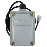 China Bernet Brand Electronic Unit  For LPG Dispenser for sale