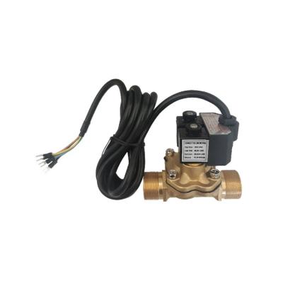 China Bernet Brand Dual Flow Valve Solenovid Valve For Fuel Dispenser  Thread for sale