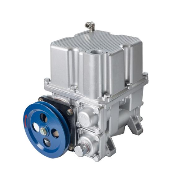 Quality Bernet Brand Gas Dispenser Parts ZHP55 Vane Pump Parts Of Fuel Dispensing Pump for sale