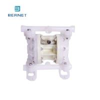 China Adjustable Flow Rate Diaphragm Pump for Precision Control for sale