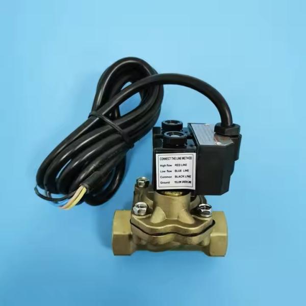 Quality Inner Thread Bernet Band Solenoid Valve for Fuel Applications for sale