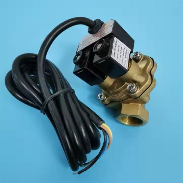Quality Inner Thread Bernet Band Solenoid Valve for Fuel Applications for sale