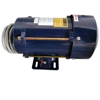 Cina Bernet AC220V Motore elettrico monofase 1HP/0.75Kw per distributore di carburante in vendita