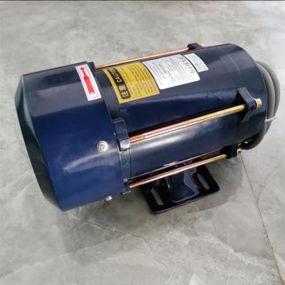 Cina Bernet AC220V Motore elettrico monofase 1HP/0.75Kw per distributore di carburante in vendita