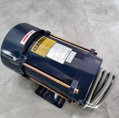 Cina Bernet AC220V Motore elettrico monofase 1HP/0.75Kw per distributore di carburante in vendita