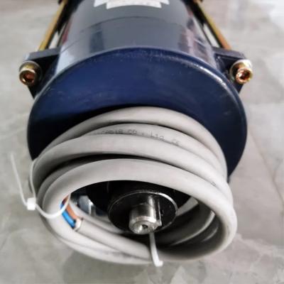Cina Bernet AC220V Motore elettrico monofase 1HP/0.75Kw per distributore di carburante in vendita