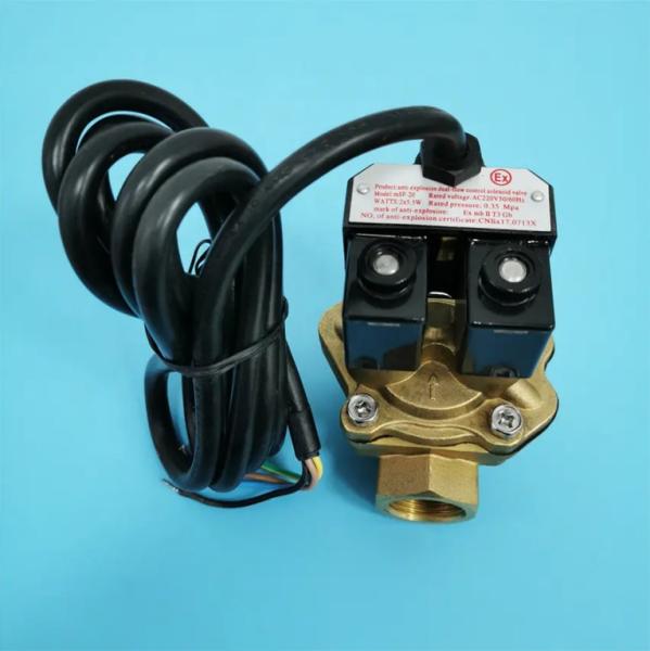 Quality Bernet High Accuracy Inner Thread Dual Flow Solenoid Valve for Fuel Dispenser for sale