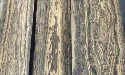 Cina Veneer di legno di Bocote per la fabbricazione di strumenti musicali in vendita
