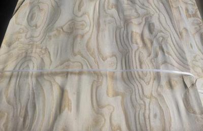 Cina 0.5 mm di spessore Ash Burl Veneer Veneer naturale per mobili di fascia alta in vendita