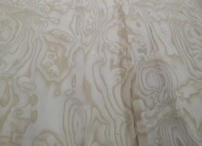 Cina 0.5 mm di spessore Ash Burl Veneer Veneer naturale per mobili di fascia alta in vendita