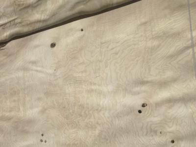 Cina 0.5 mm di spessore Ash Burl Veneer Veneer naturale per mobili di fascia alta in vendita