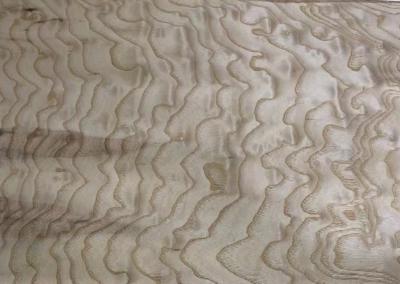 Cina 0.5 mm di spessore Ash Burl Veneer Veneer naturale per mobili di fascia alta in vendita