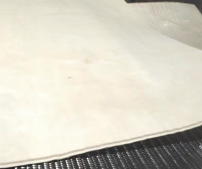 Cina 0.25-0.5mm Veneer russo di betulla rotativo in legno 1270x2500mm in vendita