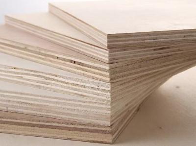 Cina Buona piattazza Buona qualità interna Legno Legno compensato Legno compensato multistrato in vendita