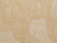 China Maple Tree Roots Engineered Veneers 2.5m Length×64cm Width for sale