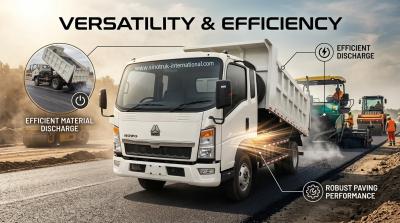 China Stable Performance HOWO 4X2 Light Duty Dump Truck 116HP for sale