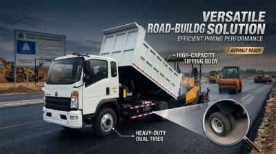 China ZZ1107D3815C1 Docks Howo 4x2 Dump Truck White Color for sale