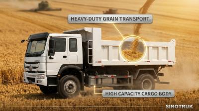 China Golden Prince SINOTRUK Tipper Dump Truck 290HP 4X2 LHD 16tons 9-13CBM  ZZ3161M3811C1 for sale