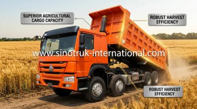 China Tipper Truck SINOTRUK HOWO 371HP 12 Wheels LHD 31 Tons 20-30CBM ZZ3317N3567W for sale