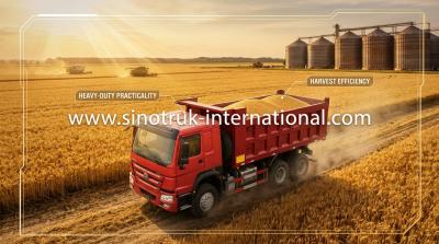 China Top Configuration Ten Wheeler Dump Truck Hydraulic Steering With Power Assistance for sale
